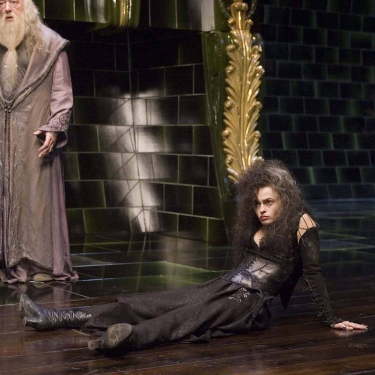 Bellatrix Lestrange Costume - Harry Potter - Halloween