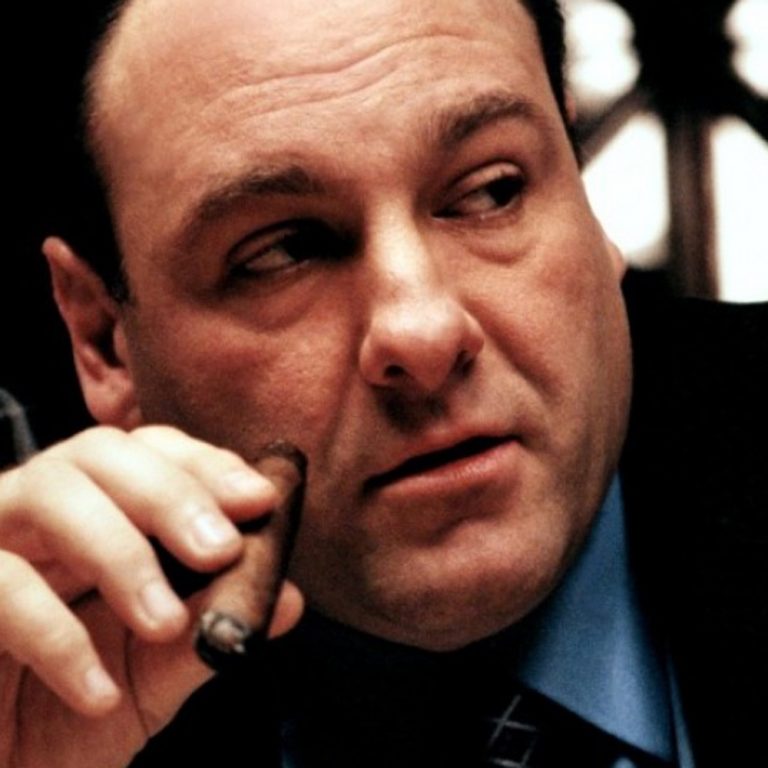 Tony Soprano Costume - The Sopranos - Dress Like Tony Soprano