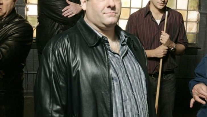 The Sopranos Archives - Costume Rocket