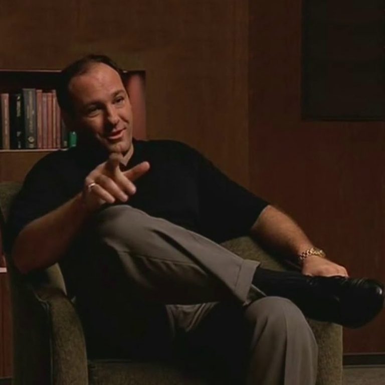 Tony Soprano Costume - The Sopranos - Dress Like Tony Soprano