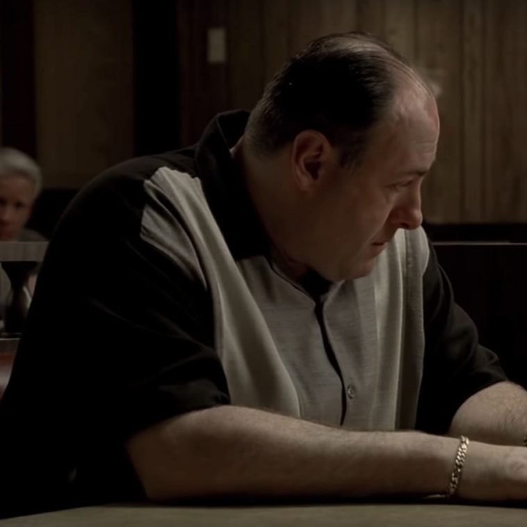 Tony Soprano Costume - The Sopranos - Dress Like Tony Soprano