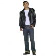 Danny Zuko Costume - Greace Fancy Dress and Halloween Costume
