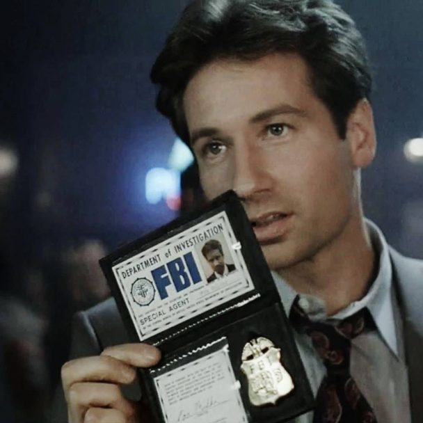 Mulder And Scully Costume - The X-Files