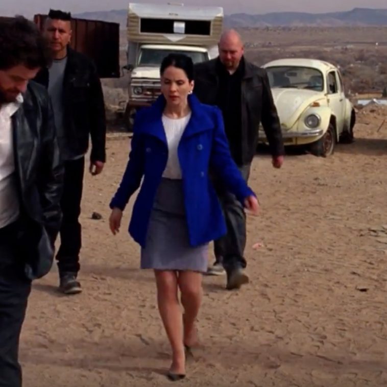 Lydia Rodarte-Quayle Costume - Breaking Bad Fancy Dress