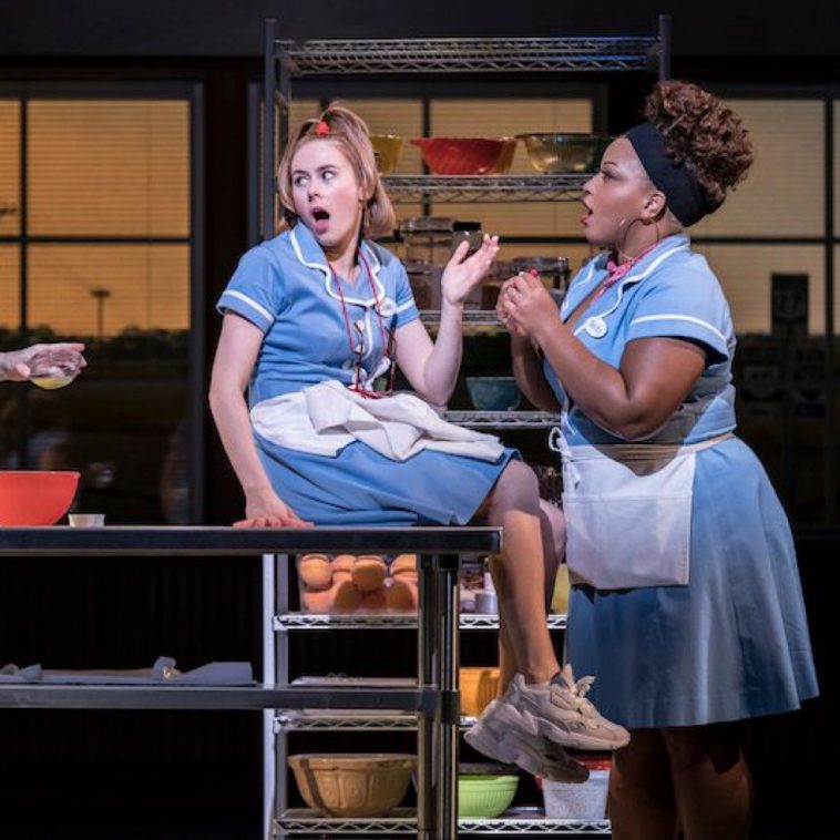 Waitress Costume Waitress The Musical Fancy Dress