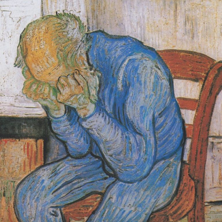 Vincent Van Gogh Costume - Cosplay and Fancy Dress