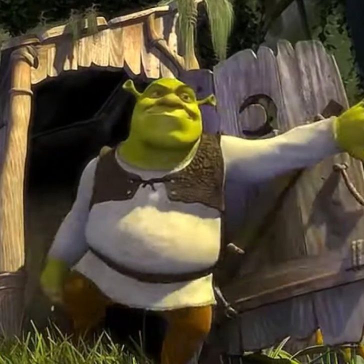 Shrek Costume - Fancy Dress - Cosplay