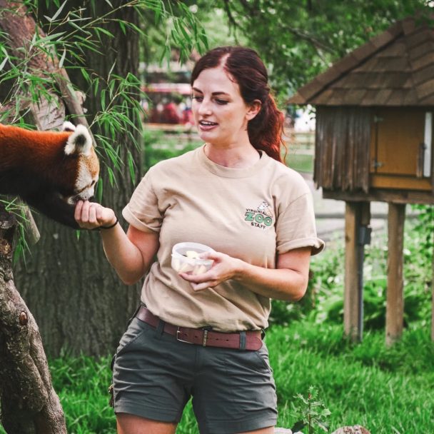 Zookeeper Costume - Easy and Quick Fancy Dress Ideas