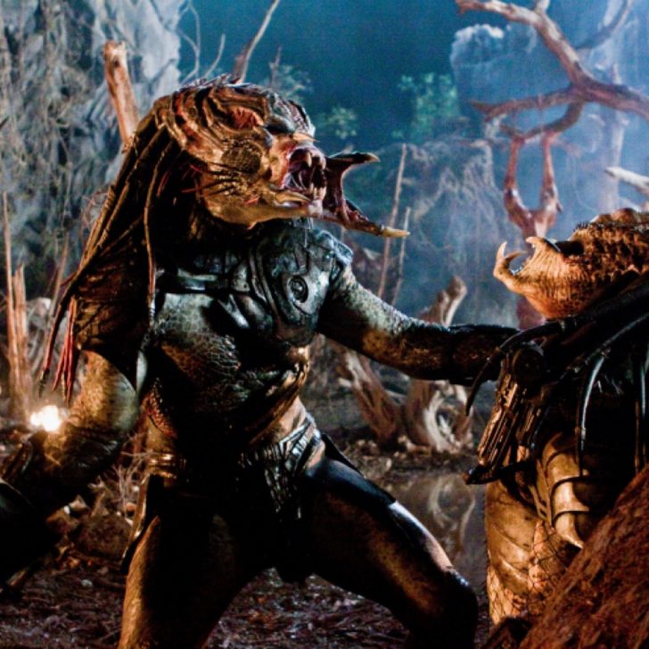 Predator Costume - Predator Fancy Dress