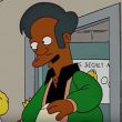 Apu Nahasapeemapetilon Costume - The Simpsons