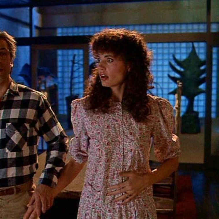 Barbara Maitland Costume - Beetlejuice Fancy Dress