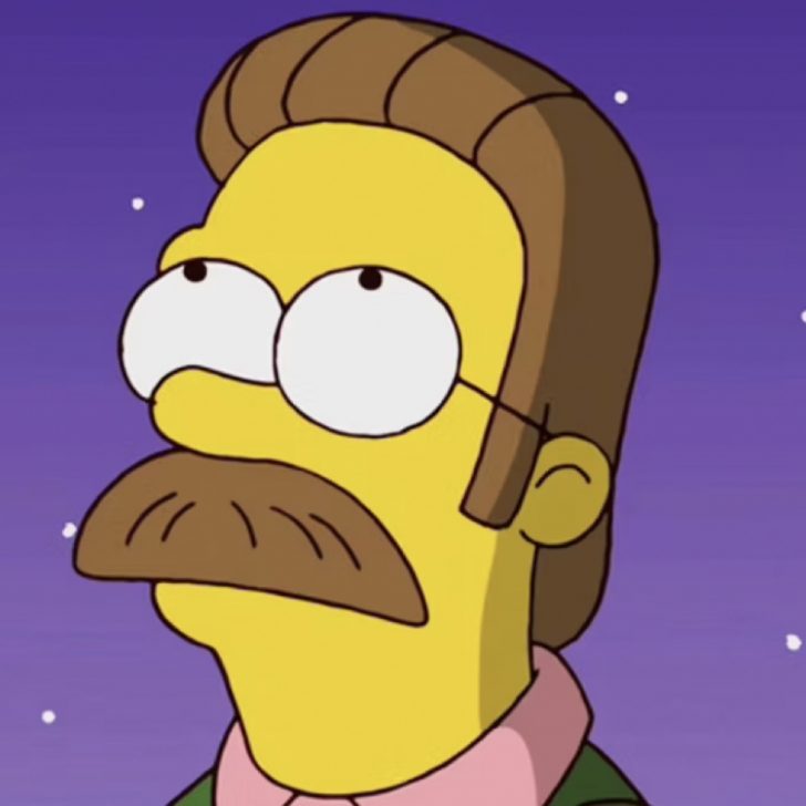 Ned Flanders Costume - The Simpsons Fancy Dress