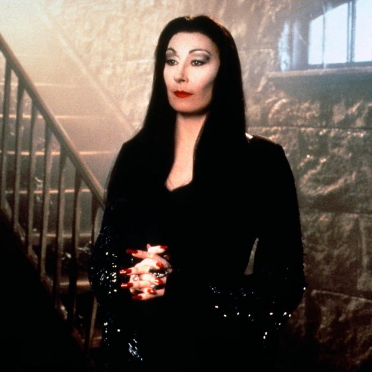 Morticia Addams Costume - The Addams Family