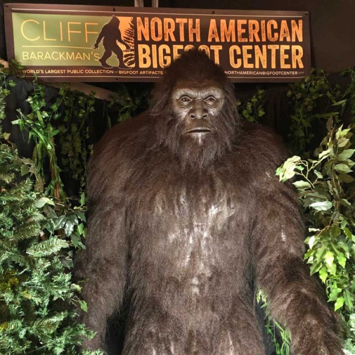 Bigfoot Costume - Fancy Dress