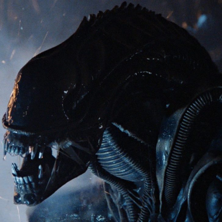 Alien Costume - Alien Movie Fancy Dress Cosplay