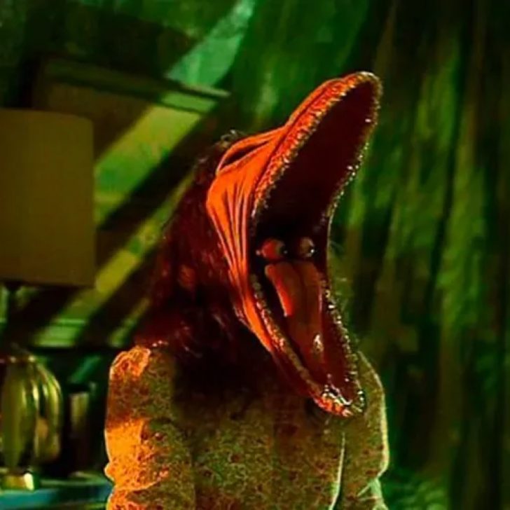 Barbara Maitland Costume - Beetlejuice Fancy Dress