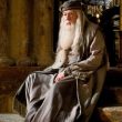 Albus Dumbledore Costume - Harry Potter Fancy Dress