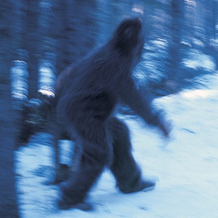 Bigfoot Costume - Fancy Dress