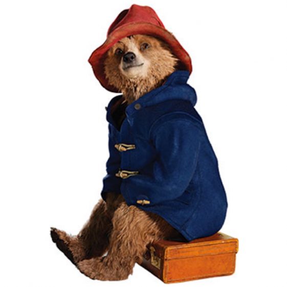 Paddington Bear Costume - Fancy Dress