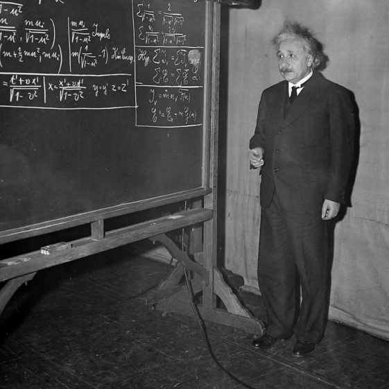 Albert Einstein Costume - Fancy Dress Ideas