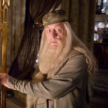 Albus Dumbledore Costume - Harry Potter Fancy Dress