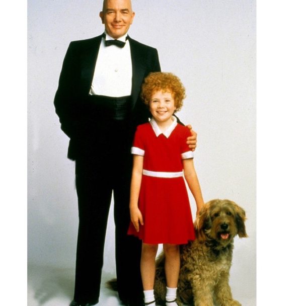 Orphan Annie Costume - Annie Fancy Dress