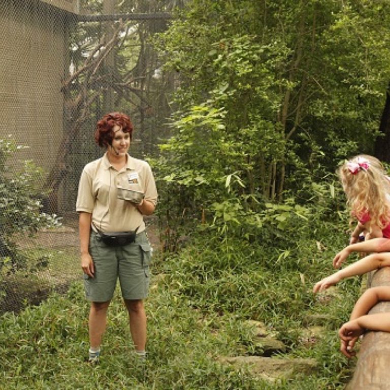 Zookeeper Costume - Easy and Quick Fancy Dress Ideas