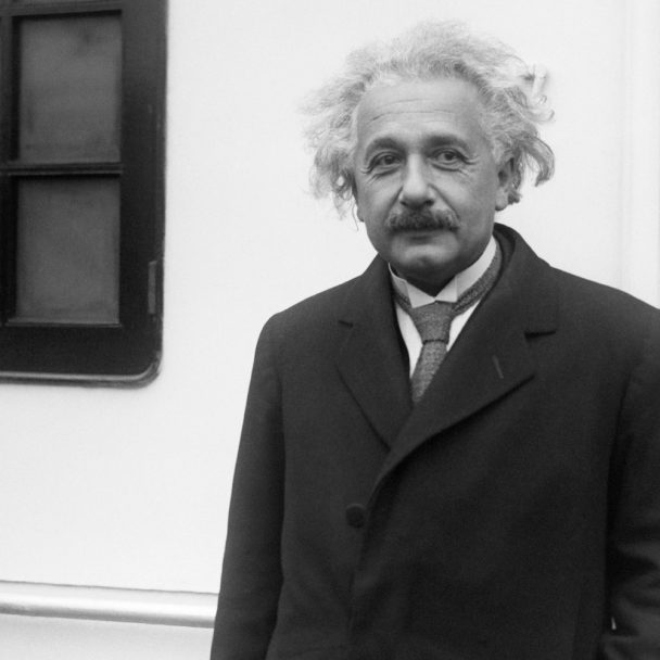 Albert Einstein Costume - Fancy Dress Ideas