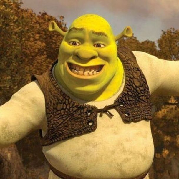 Shrek Costume - Fancy Dress - Cosplay