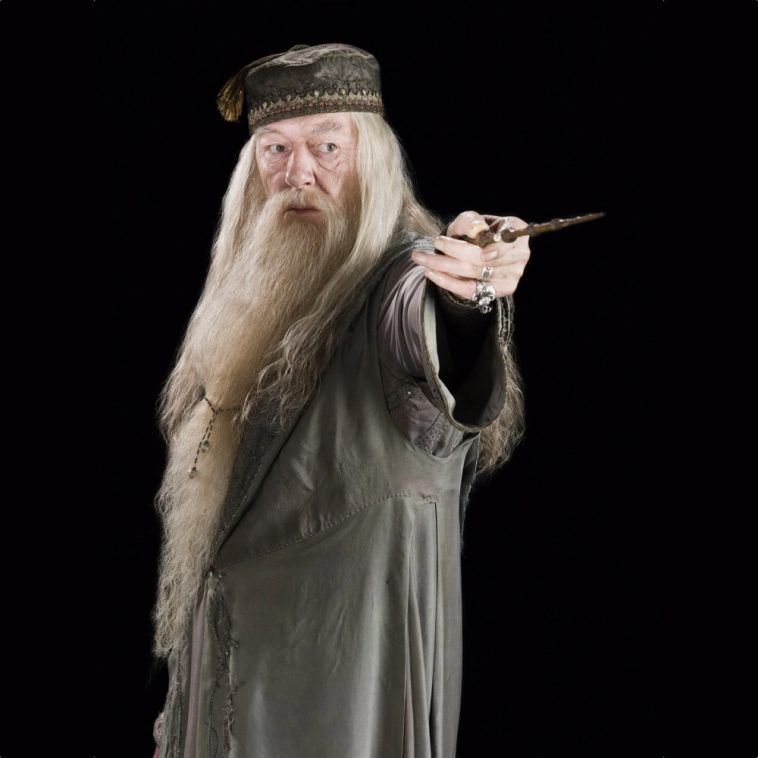Albus Dumbledore Costume - Harry Potter Fancy Dress