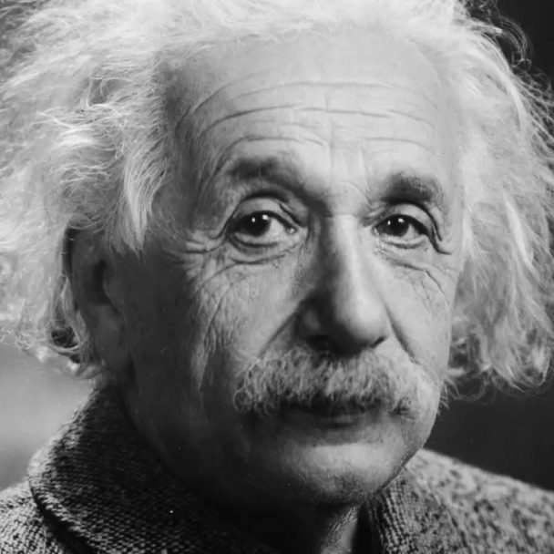 Albert Einstein Costume - Fancy Dress Ideas