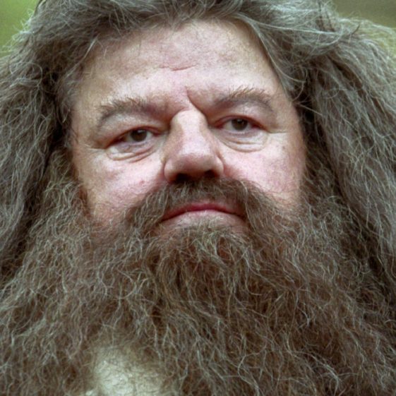 Rubeus Hagrid Costume - Harry Potter Fancy Dress