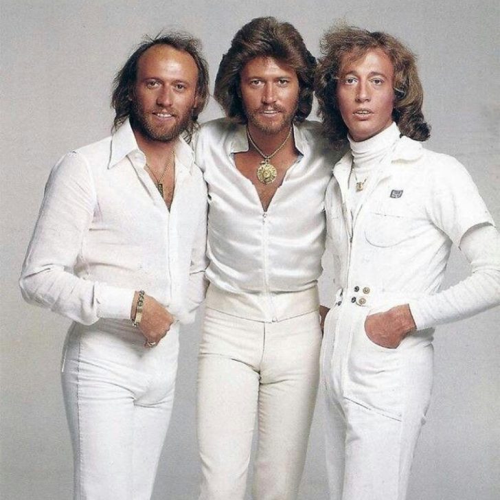 Bee Gees Costume - Fancy Dress Ideas for Groups