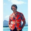 Thomas Magnum P.I. Costume - Easy Fancy Dress Ideas