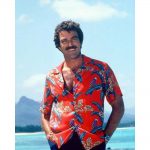 Thomas Magnum P.I. Costume - Easy Fancy Dress Ideas