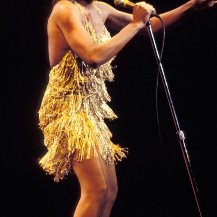 Tina Turner Costume - Celebrity Fancy Dress Ideas