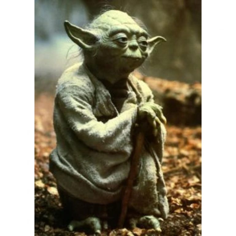 Yoda Costume - Star Wars - The Empire Strikes Back Fancy Dress