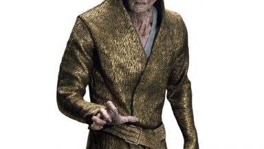 Iron Chef Costume - Iron Chef Fancy Dress Ideas