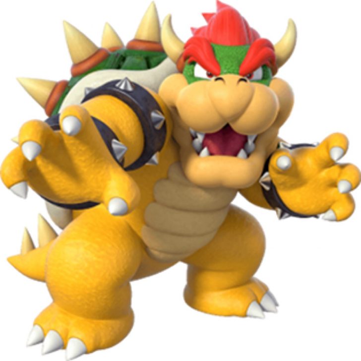 Bowser (Mario) Costume - Super Mario Fancy Dress