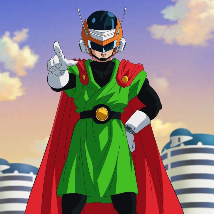 Gohan The Great Saiyaman Costume - Dragon Ball Fancy Dress