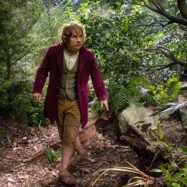 Hobbit Costume - The Lord of the Rings