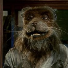 Master Splinter Costume - Teenage Mutant Ninja Turtles