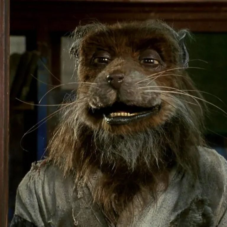 Master Splinter Costume - Teenage Mutant Ninja Turtles