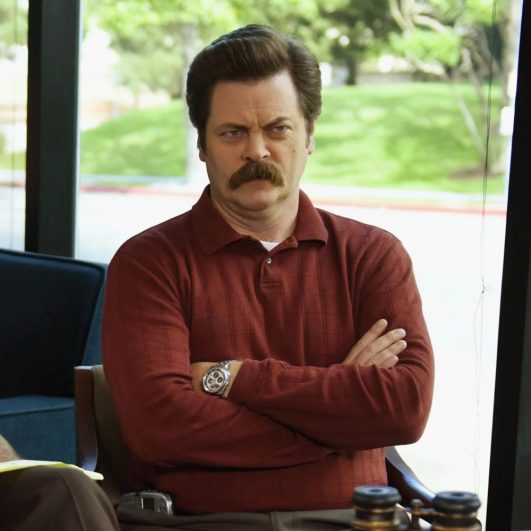 Ron Swanson Costume - Parks and Recreation Fancy Dress