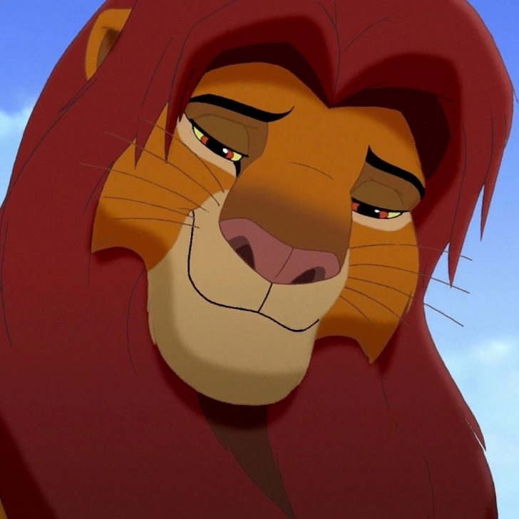 Flying Monkey Costume - The Wizard of Oz Fancy Dress