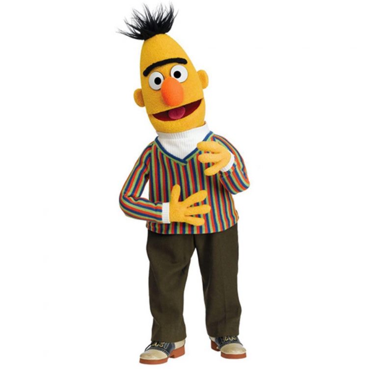 Bert Costume - Sesame Street Fancy Dress