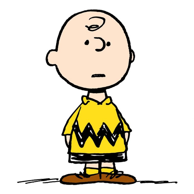 Charlie Brown Costume - Peanuts Fancy Dress