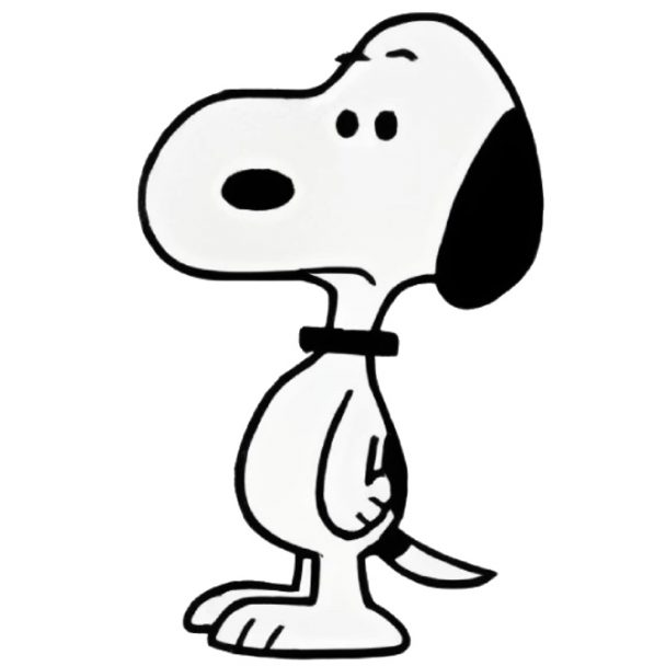 Snoopy Costume - Peanuts Fancy Dress