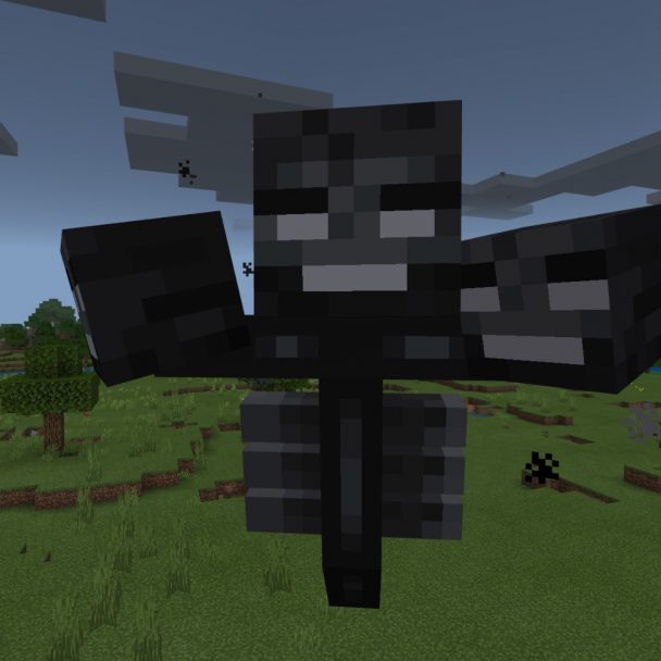Minecraft Wither Costume - Minecraft Fancy Dress Ideas