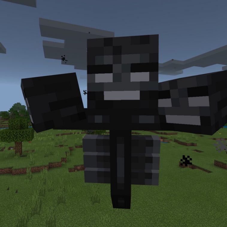 Minecraft Wither Costume - Minecraft Fancy Dress Ideas